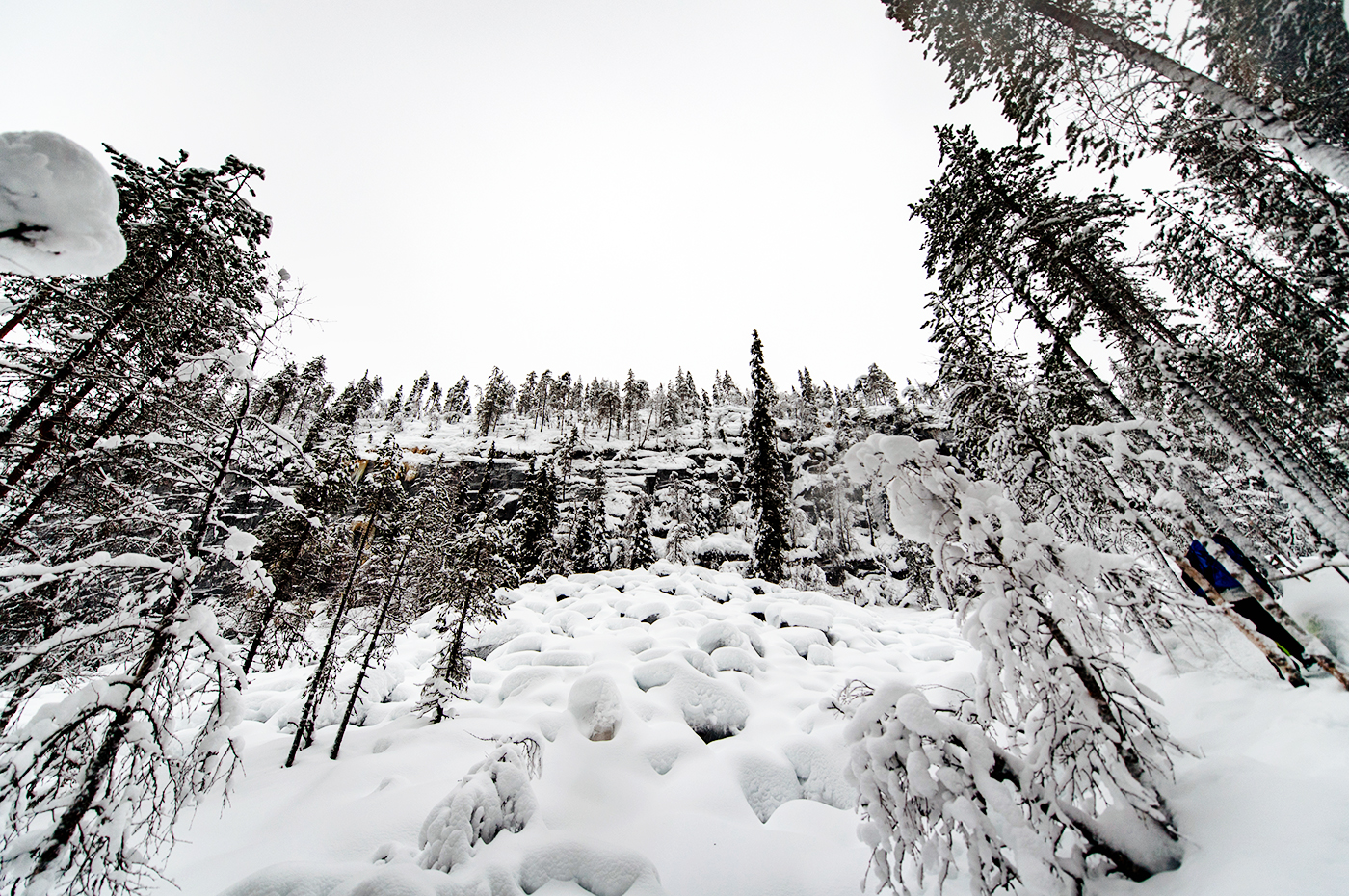 La Taiga finlandese – ViviSantangelo Journal